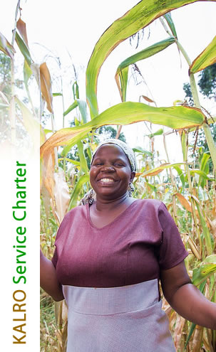 Kenya Agricultural & Livestock Research Organization - (KALRO)